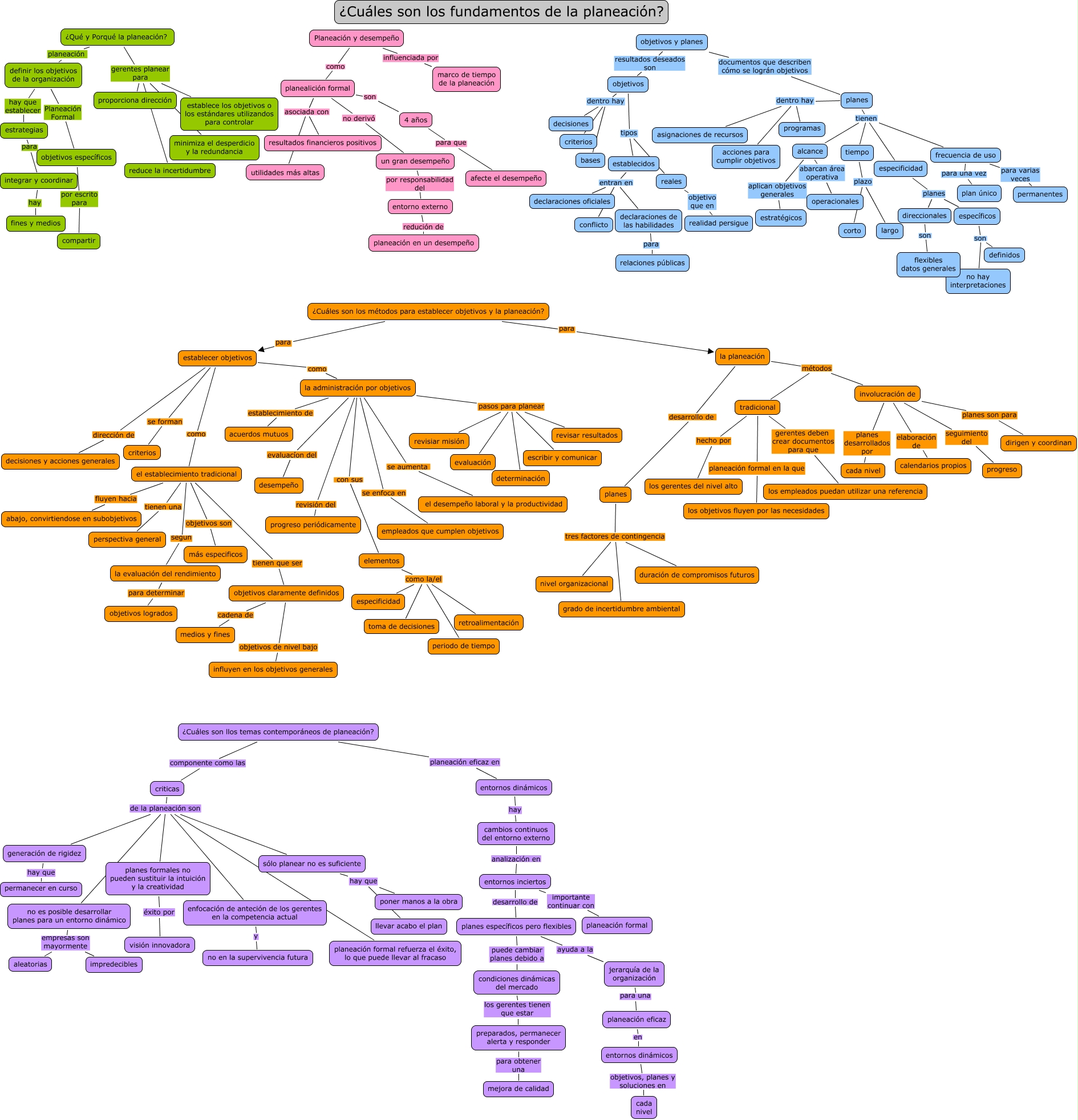 Daniela Parli Fundamentos de la planeación - ¿Cuáles son los fudamentos de la planeación?